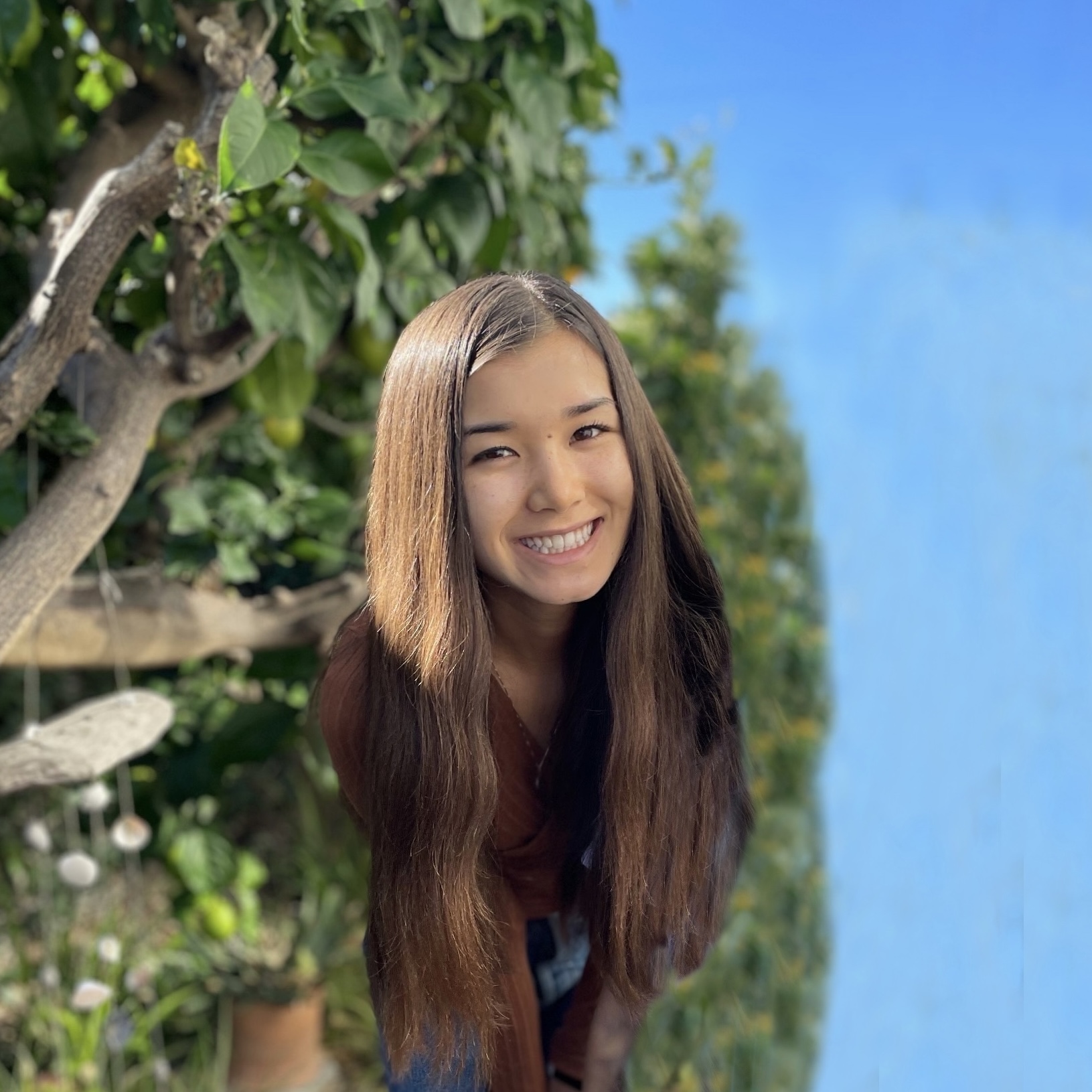 IISE - Institute of Industrial & Systems Engineers Northeastern ...